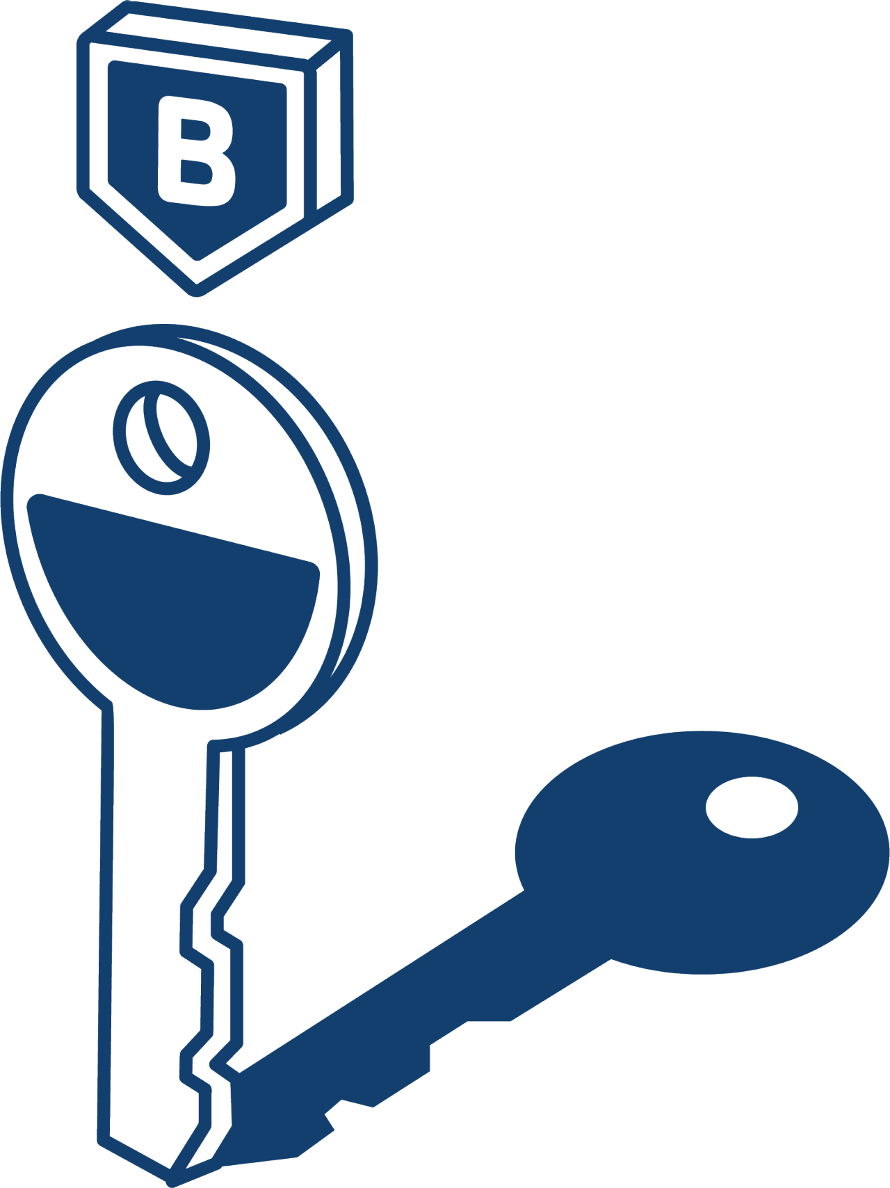 Mobility Solutions | Leader in Mobility | BraunAbility